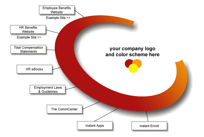Your Company Logo and Color Scheme
